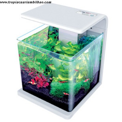 Mini Acuario Biotop Natur Deluxe 15 litros