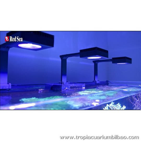 Pantallas leds Red Sea